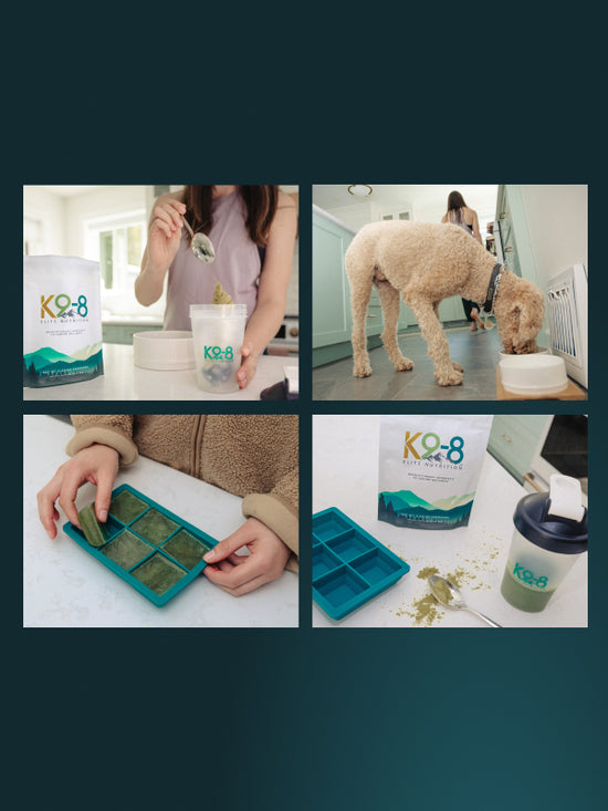 K9-8: All-In-One Dog Supplement for Comprehensive Canine Health – k9-8